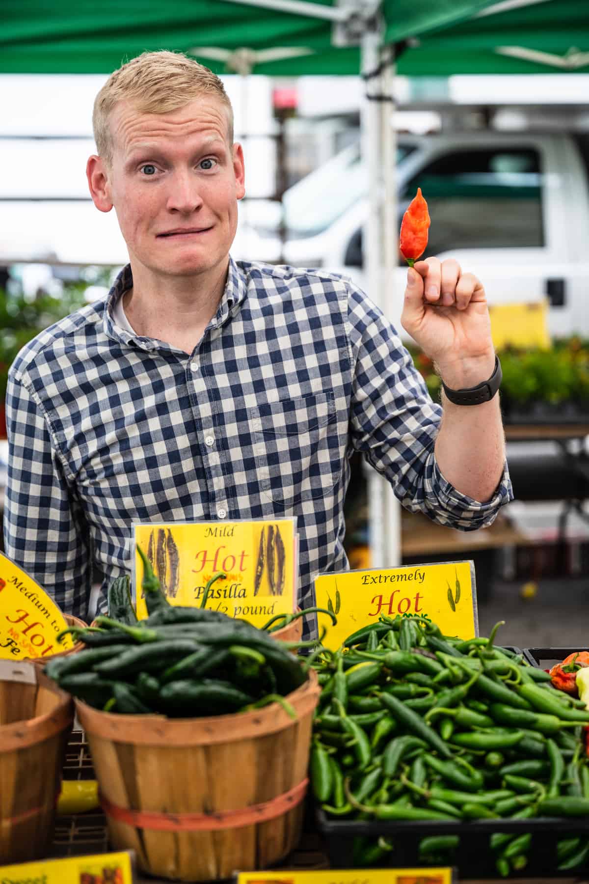 Contact - Justin Chapple